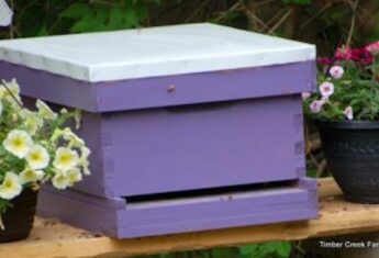 How to Start a Bee Farm - Backyard Beekeeping